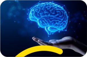 Quienes Somos GELSA - Gelsa